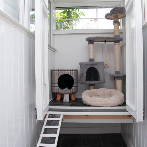 Mossdale Cattery Orpington - Luxury Cat Hotel