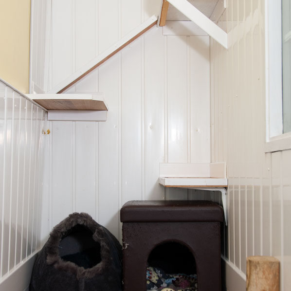 Services - Mossdale Cattery Orpington