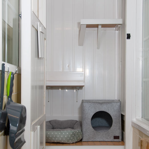 Services - Mossdale Cattery Orpington